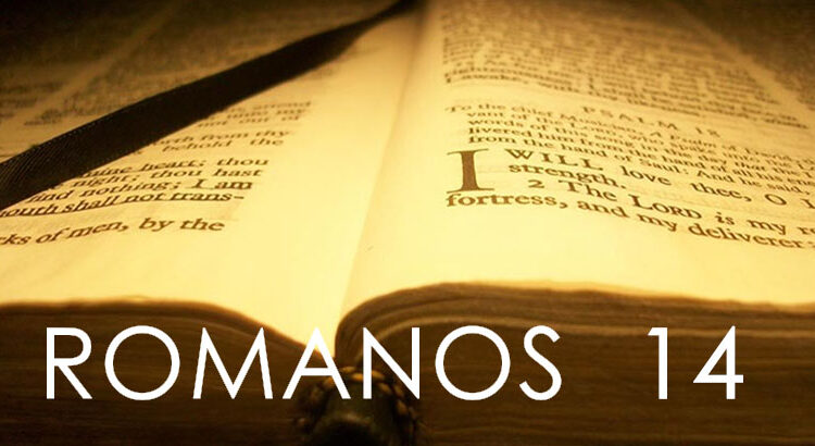 ROMANOS 14 NA BÍBLIA ONLINE
